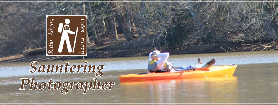 Sauntering Photographer – Wandering and contemplating the world with ...